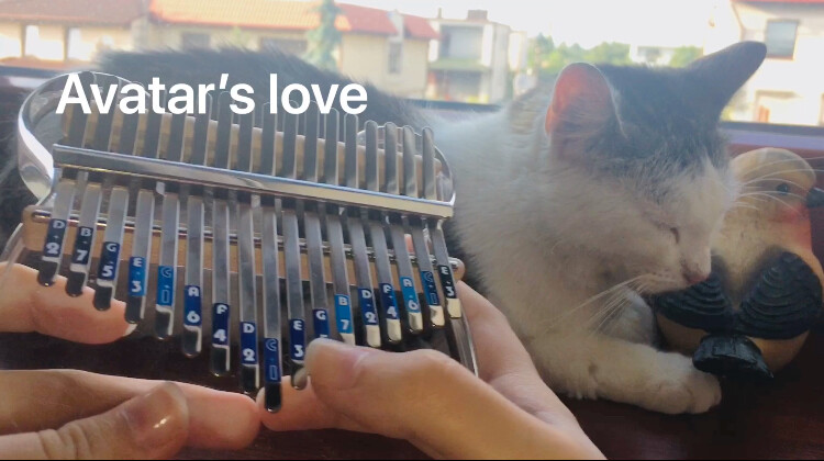 Avatar’s love- the last airbender Kalimba Tabs Letter & Number Notes ...