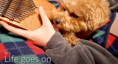 BTS Life goes on Kalimba Tabs Letter & Number Notes Tutorial ...