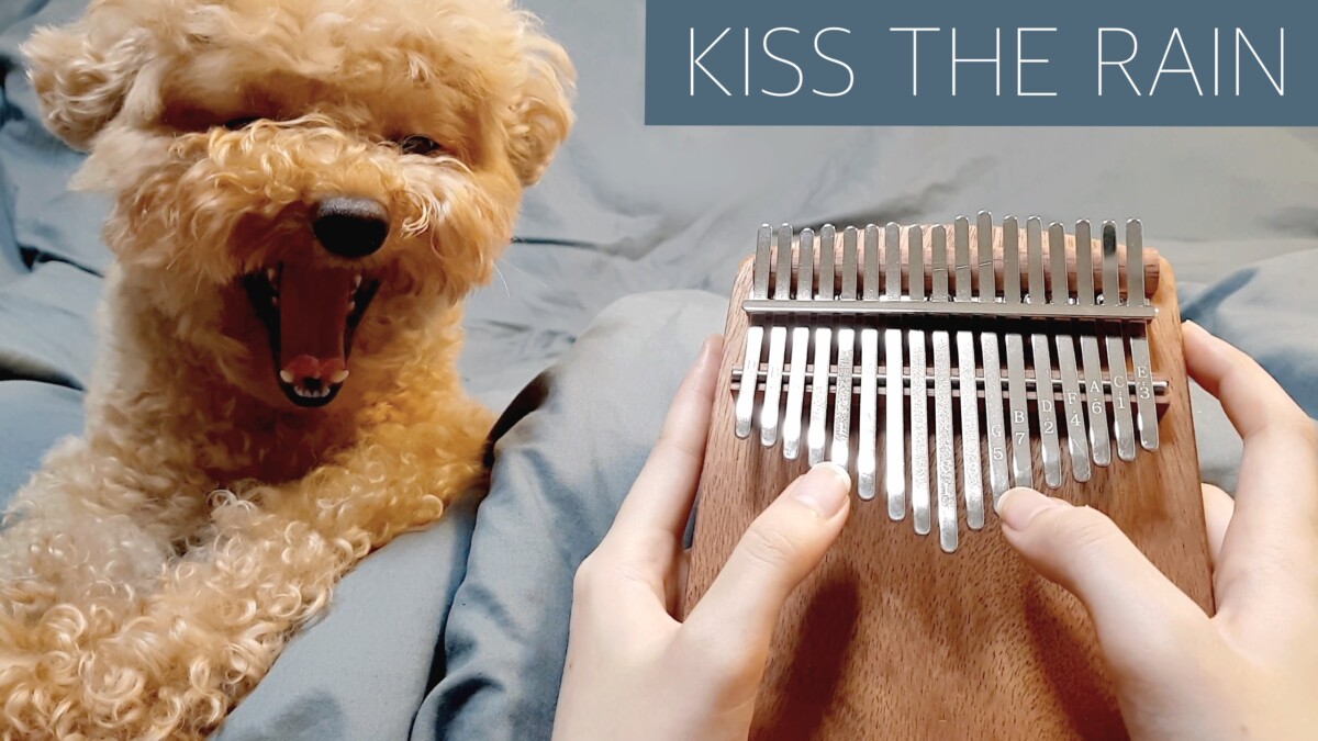 Kiss the rain, Yiruma Kalimba Tabs Letter & Number Notes Tutorial ...