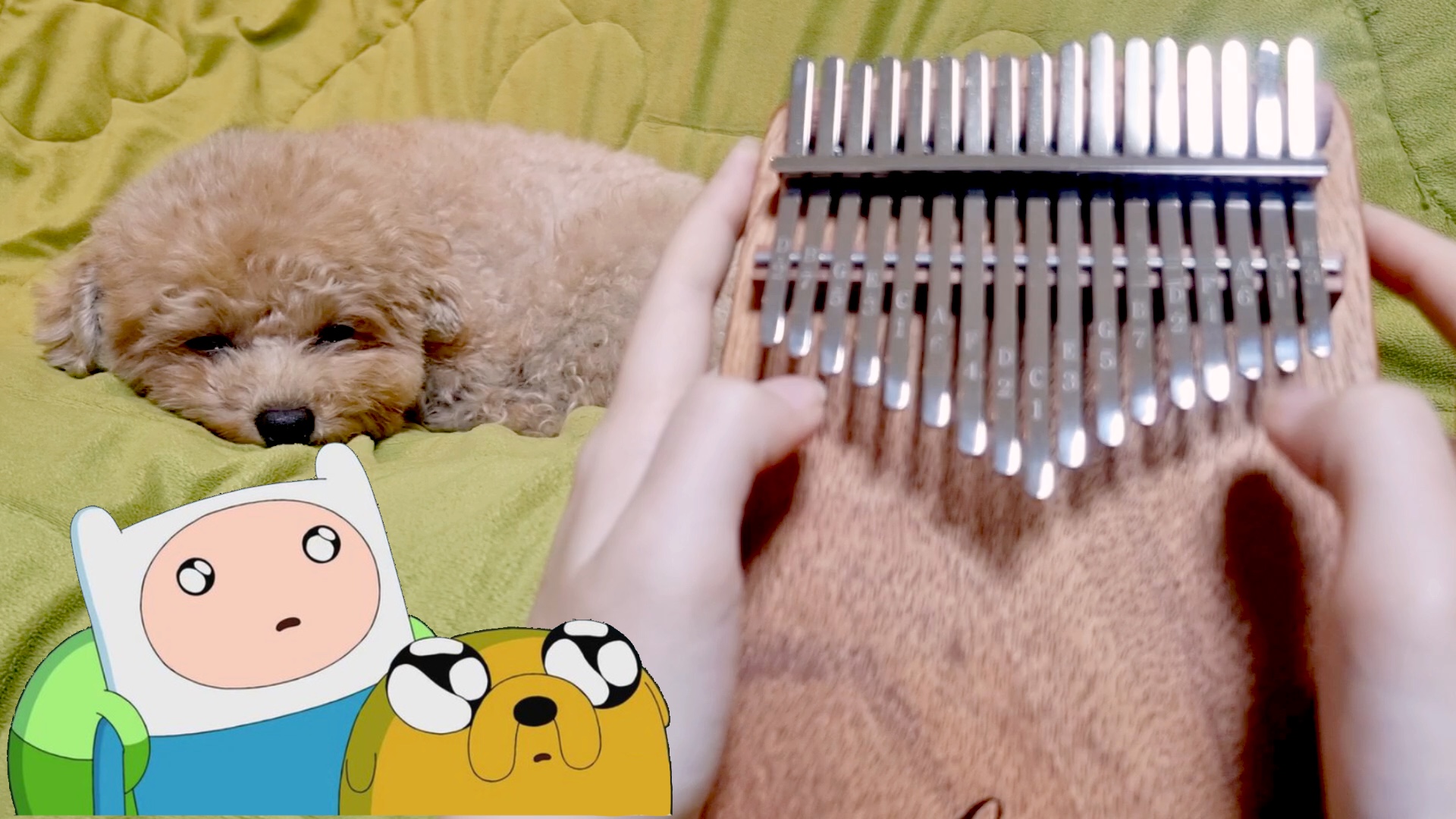 Adventure Time Island Song Island Song Come Along With Me Kalimba adventure-time-island-song-island-song-come-along-with-me-kalimba