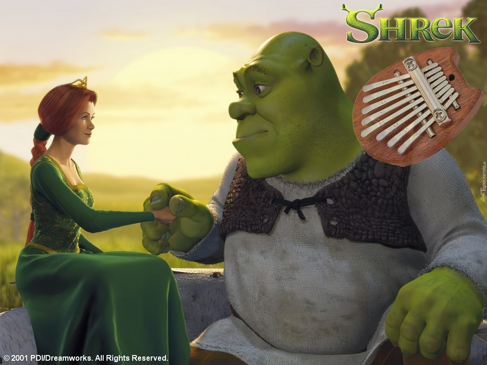 Shrek - Fairytale - 8 key kalimba Kalimba Tabs Letter & Number Notes ...