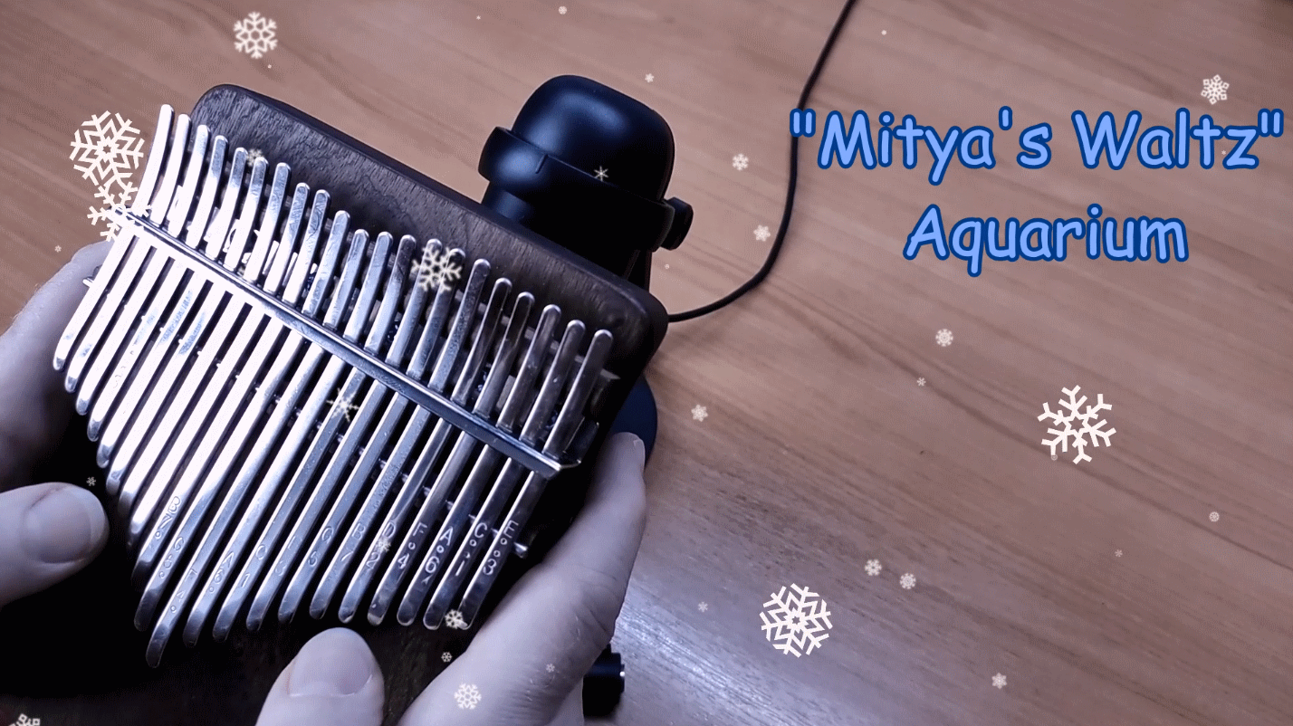 Mitya's Waltz (Aquarium) – 21 key Kalimba cover (C-major) Kalimba Tabs ...