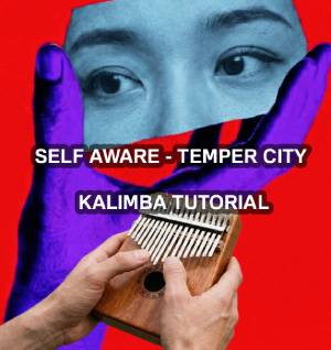 Self Aware Kalimba Tabs Archives - KalimbaTabs.net